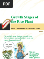 Howweedgrow Ultimate Chart Cheat Sheet | PDF | Hydroponics | Botany
