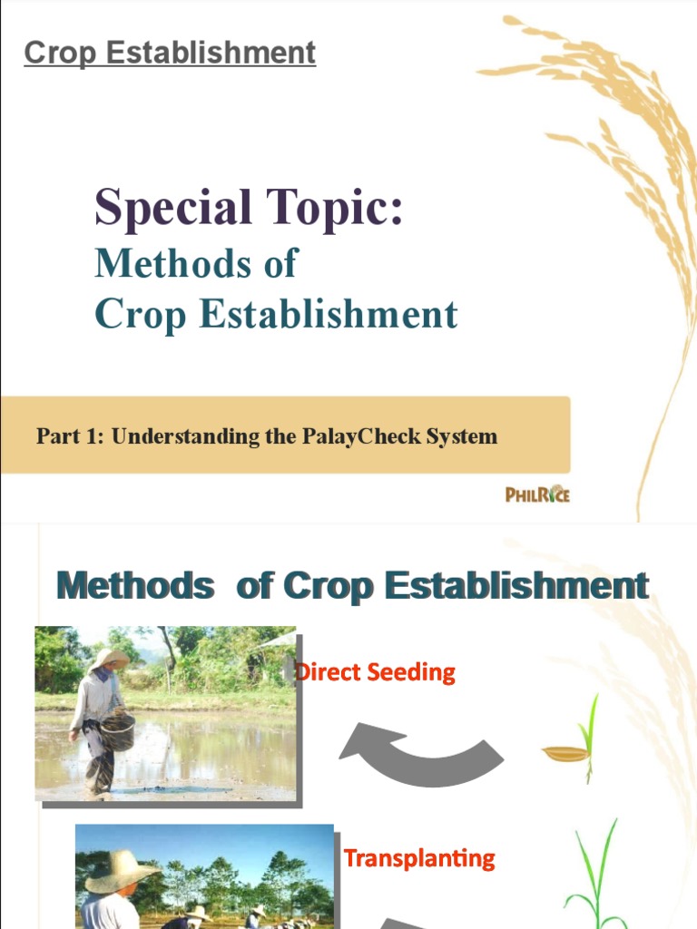 10 Methods of Crop Establishment | PDF | Seed | Sowing