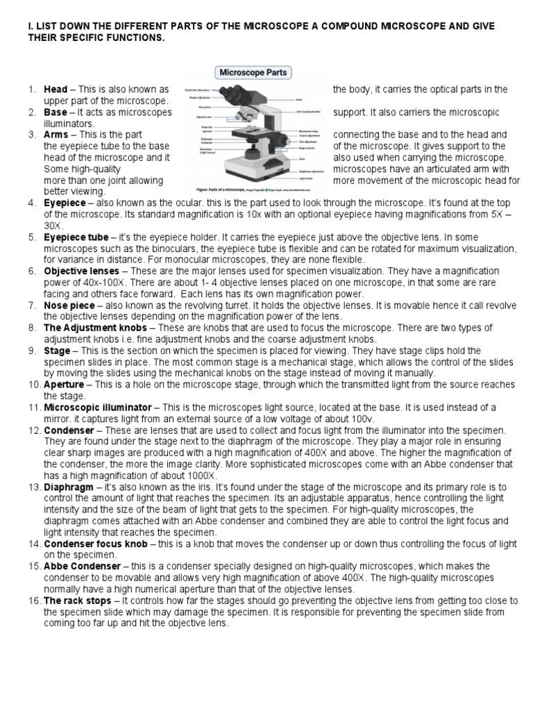 I. Microscope Parts and Functions | PDF | Microscopy | Glass Applications