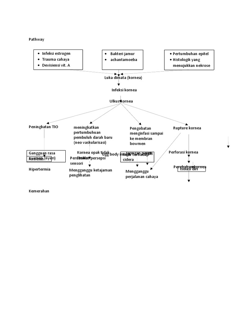 Pathway Ulkus Kornea | PDF