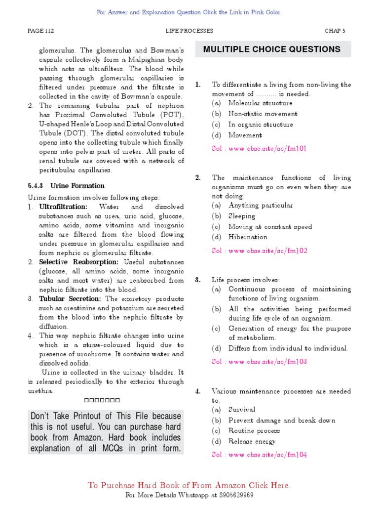 Science MCQ | PDF | Leaf | Organ (Anatomy)