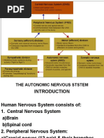 Nervous System Flow Chart | PDF | Nerve | Nervous System
