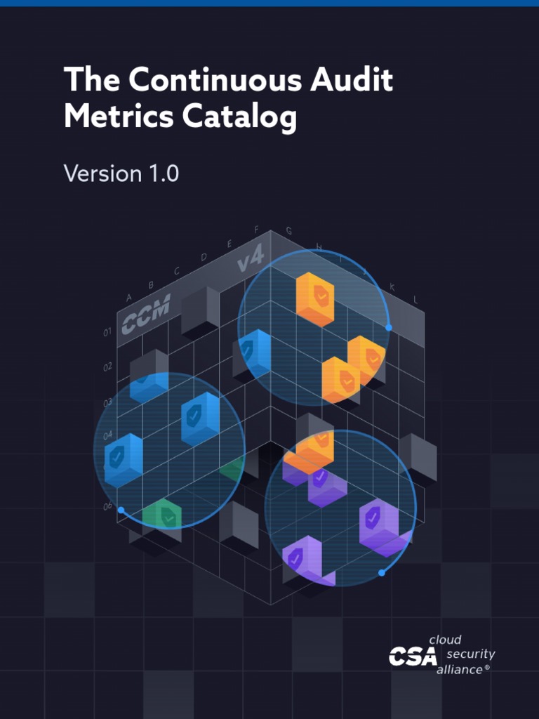 The Continuous Audit Metrics Catalog | Download Free PDF ...