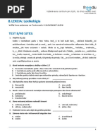Slovesá - Tematický Test | PDF