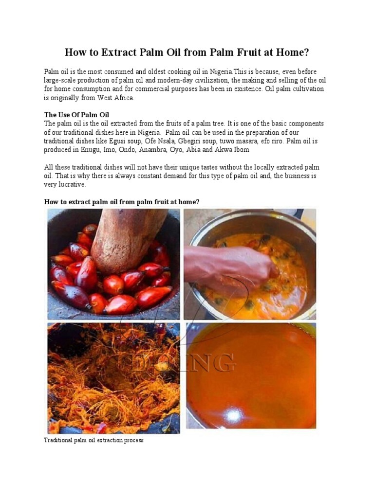 Procedure Text-How To Extract Palm Oil From Palm Fruit at Home | PDF ...