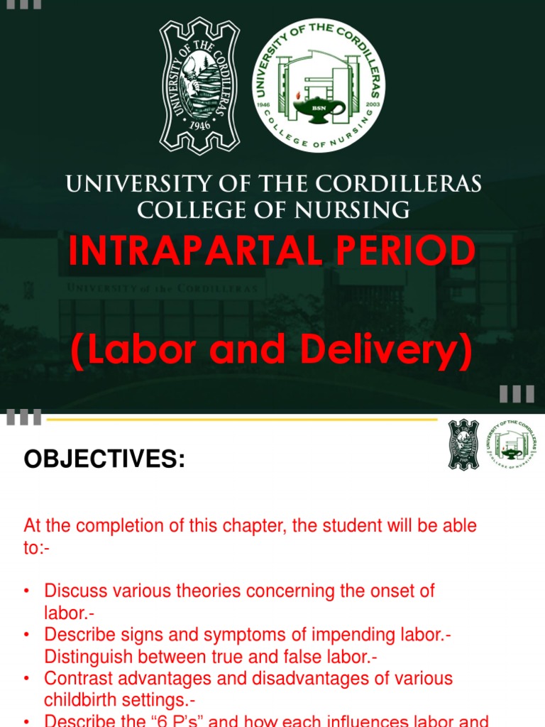 Understanding the 6 P's of Labor | PDF | Pelvis | Childbirth