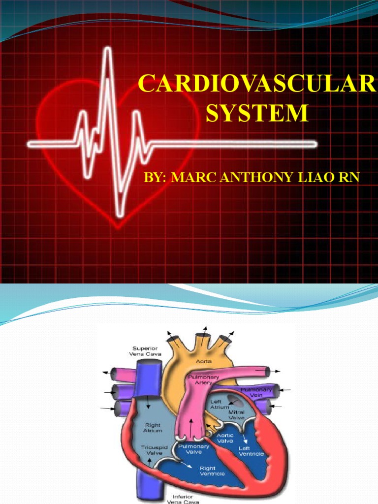 Cardiovascular System: By: Marc Anthony Liao RN | PDF | Myocardial ...