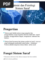 Jenis dan Fungsi Neuroglia dalam SSP | PDF | Pengembangan Diri ...