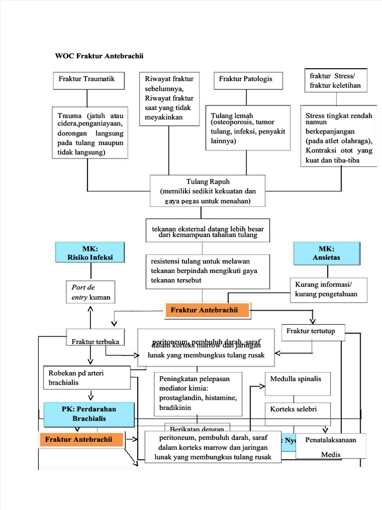 PDF Woc Fix Revisi Fraktur Antebrachii Compress | PDF