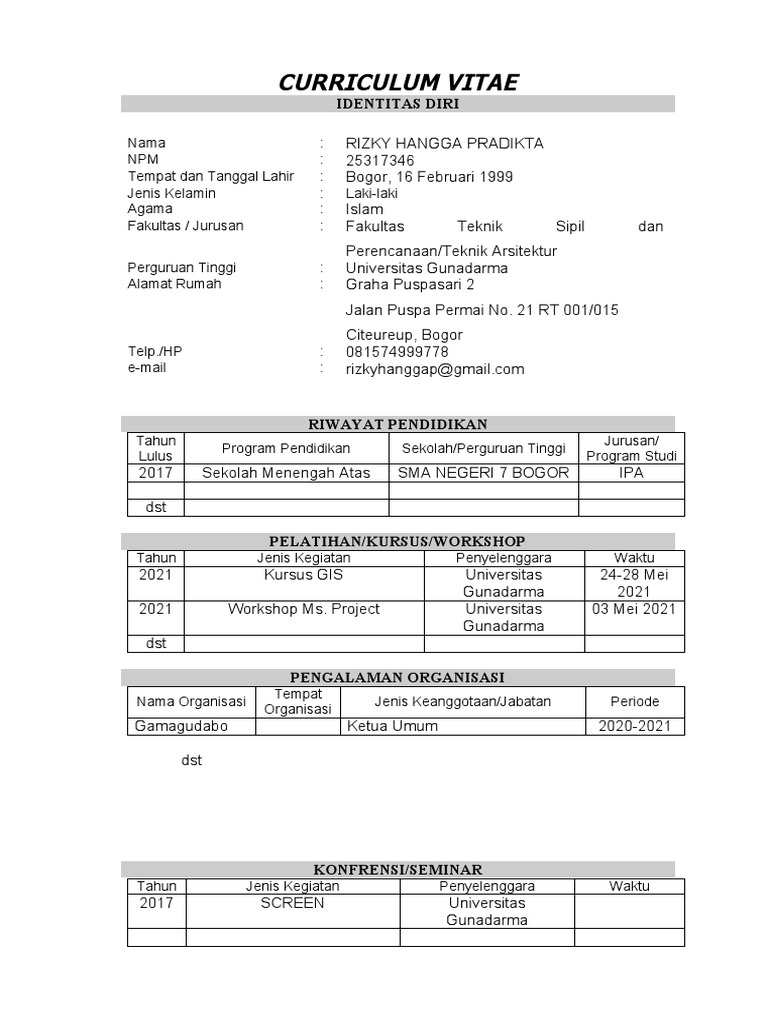 Format CV 2021 | PDF