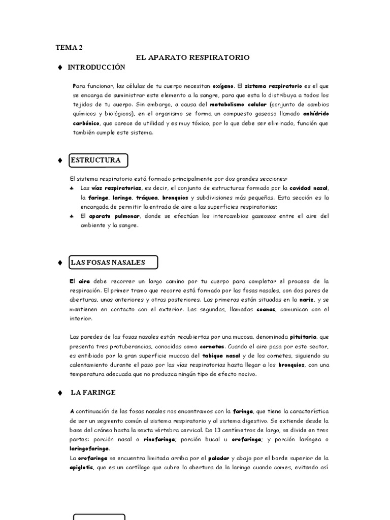 Tema 2 Aparato Respiratorio | PDF | Pulmón | Sistema respiratorio