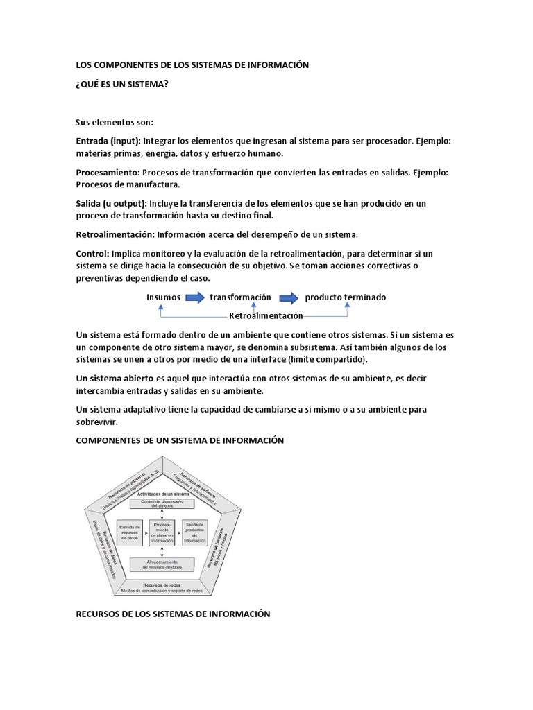 Sig-3 Los Componentes de Los Sistemas de Información | PDF | Hardware ...