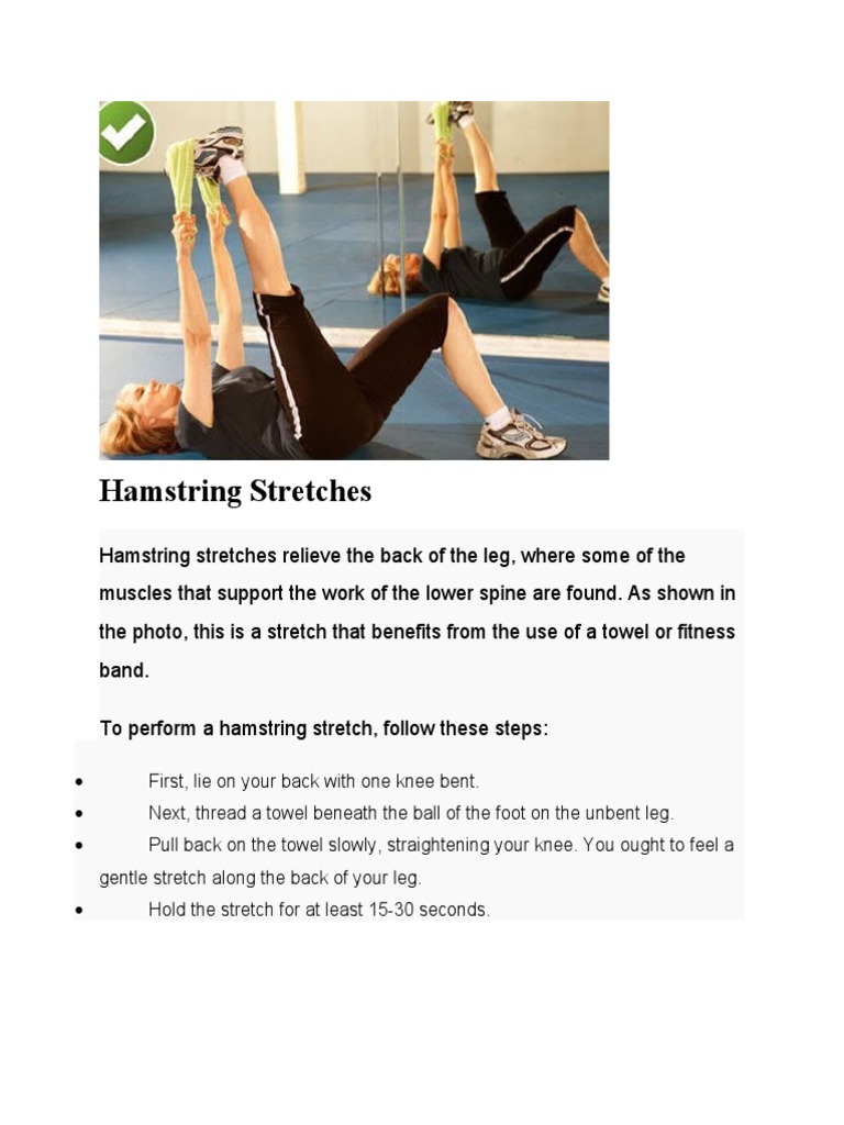 Lower Back Exercises | PDF | Pelvis | Anatomical Terms Of Motion