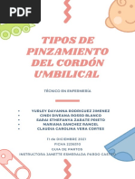 Brandt Andrews | PDF | Partería | Parto