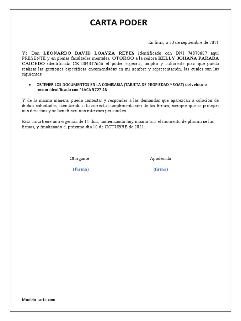 Carta Poder 2 | PDF | Derecho