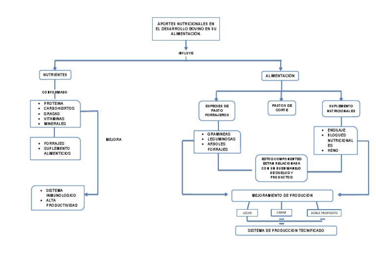 Mapa Mental Edwin Pacheco Sena | PDF | Bienestar