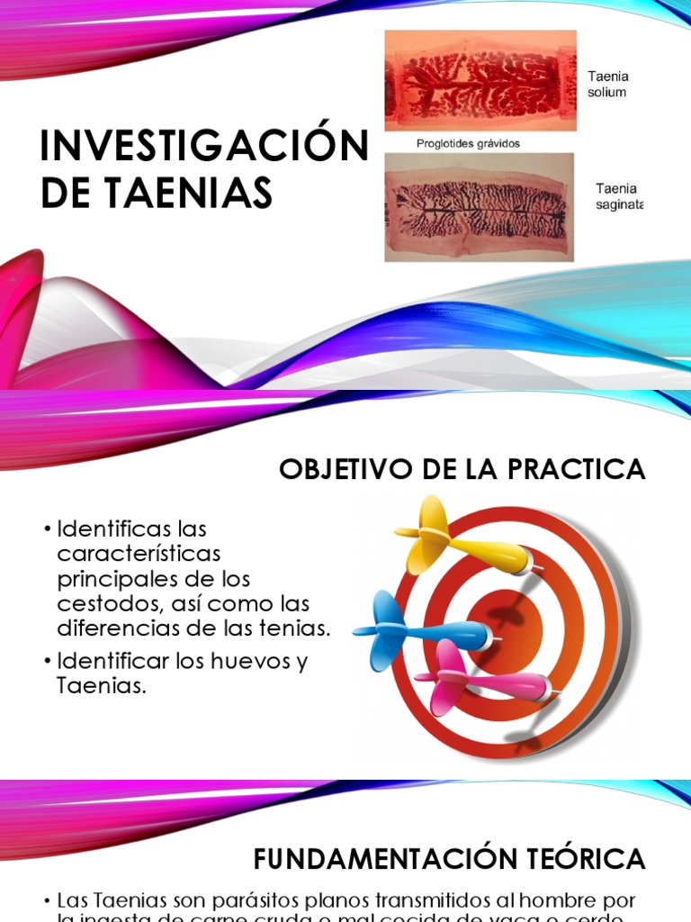 Investigación de Taenias | PDF | Cocina, comidas y vino | Salud y bienestar