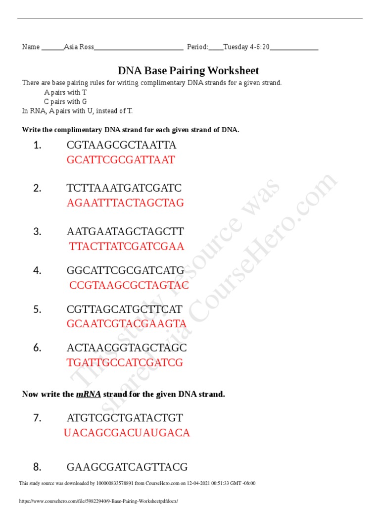 This Study Resource Was: DNA Base Pairing Worksheet | PDF | Genetic Code | Messenger Rna