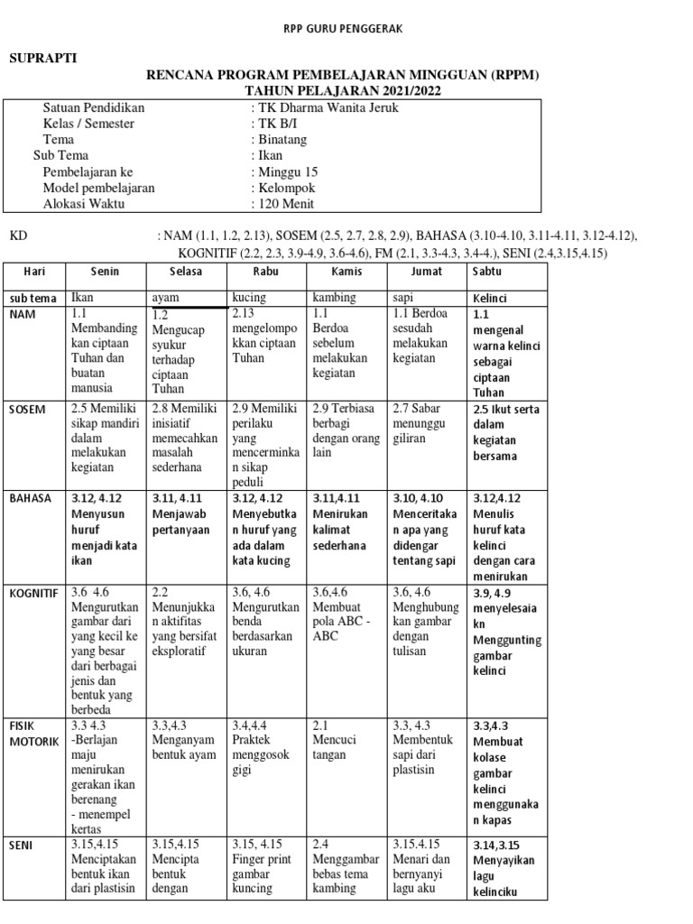 RPPM Dan RPPH | PDF