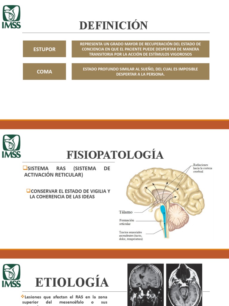 Estupor y Coma | Descargar gratis PDF | Coma | Meningitis