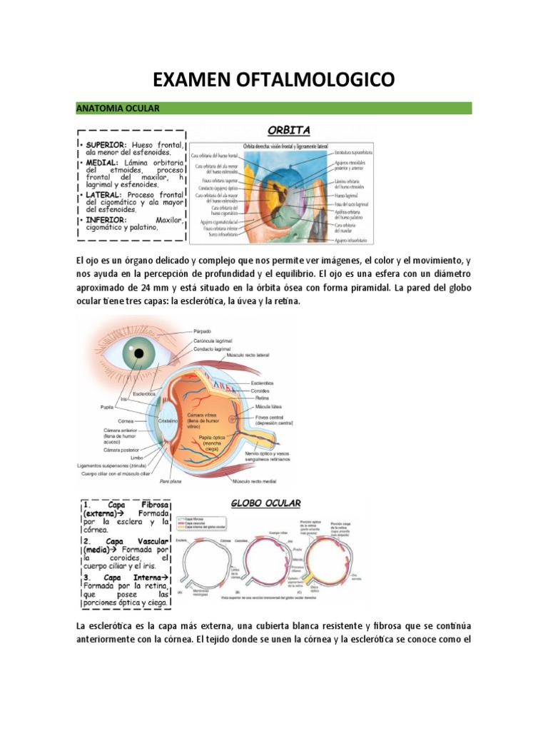 Examen Oftalmologico | PDF | Ojo humano | Oftalmología