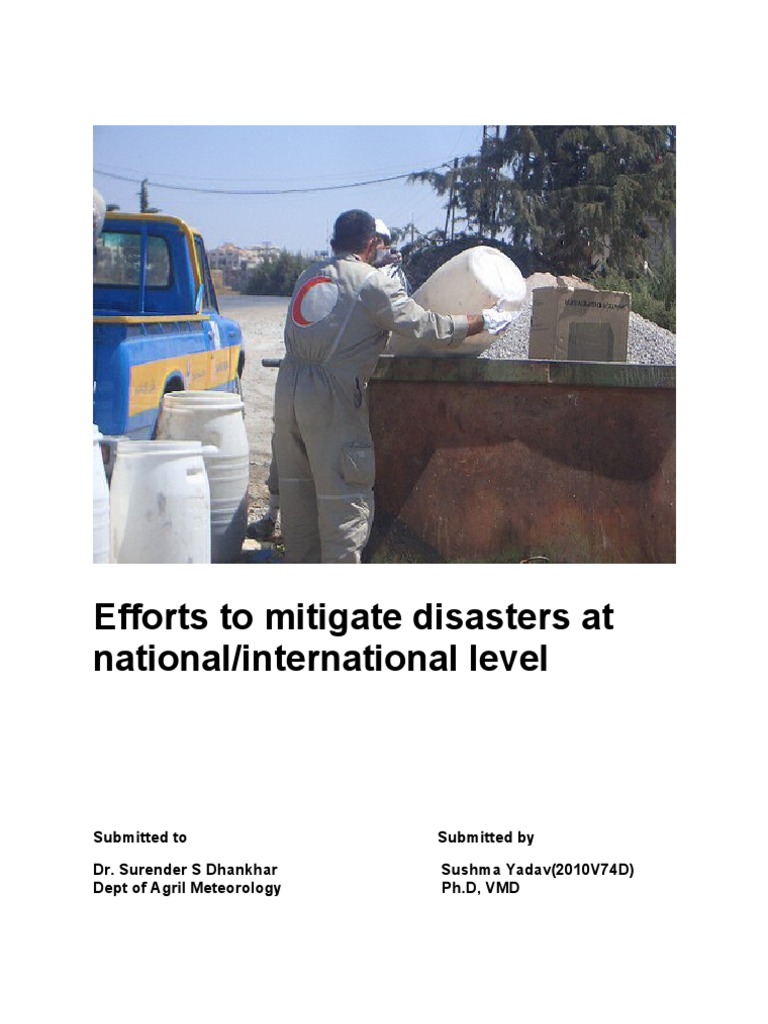 Disaster Management Assignment | PDF | Remote Sensing | Emergency ...