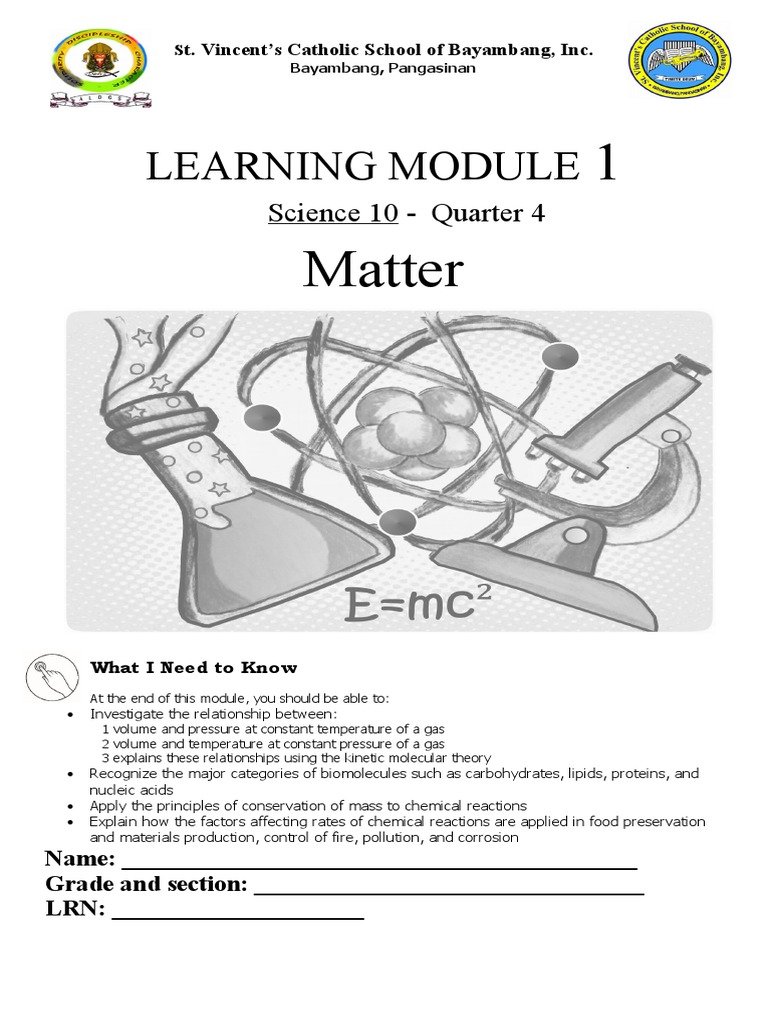 Learning Module: 1 Matter | PDF | Gases | Nucleotides