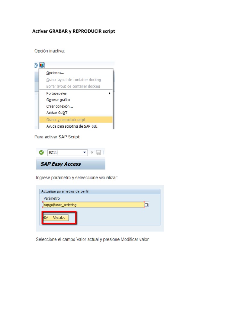 Activar GRABAR y REPRODUCIR Script SAP | PDF