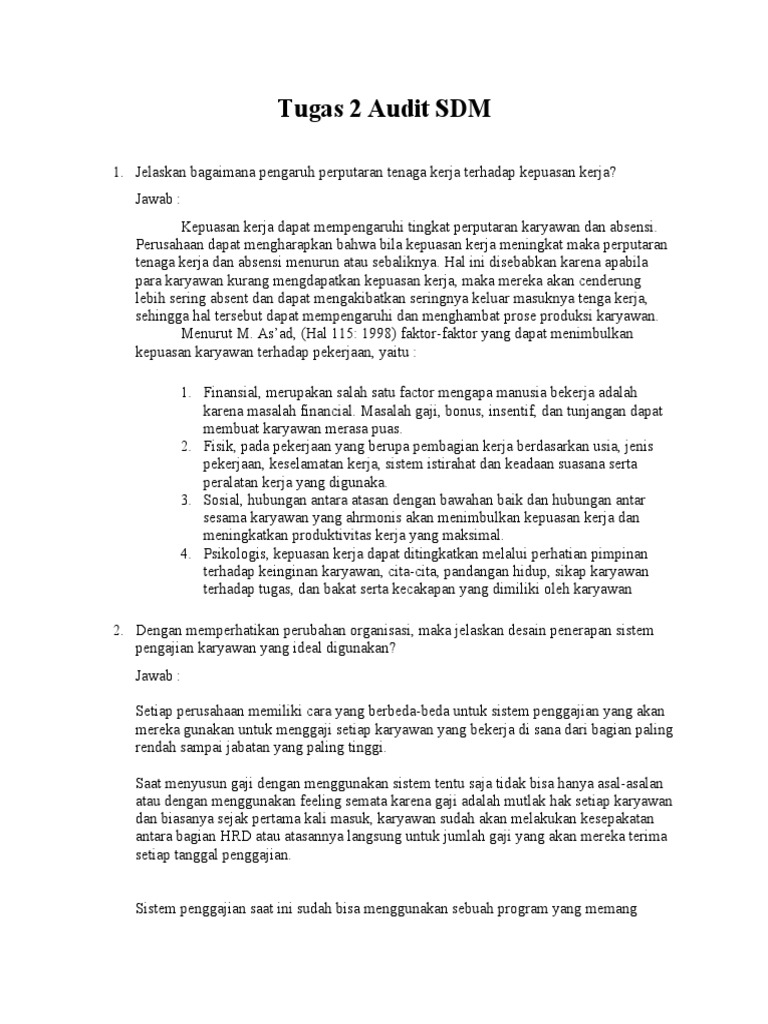 Tugas 2 Audit SDM | PDF