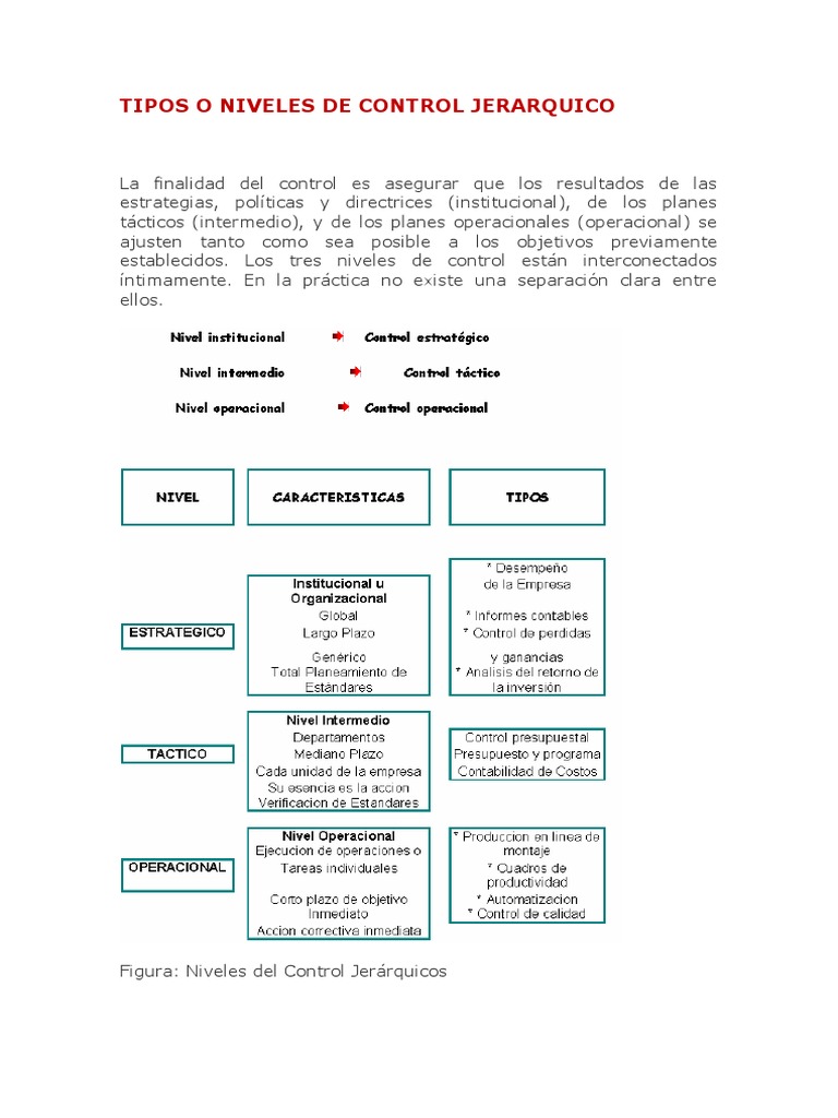 Controls Estrategico, Táctico y Operacional | PDF | Planificación ...