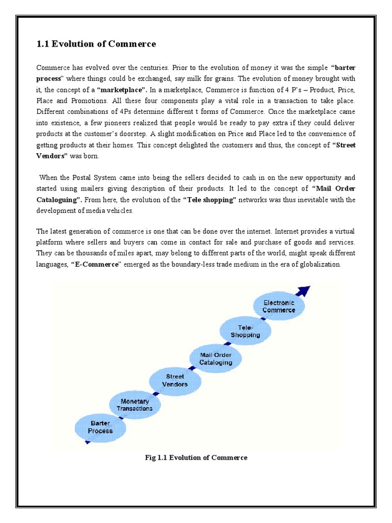 Project On e Commerce | PDF | E Commerce | Online Shopping