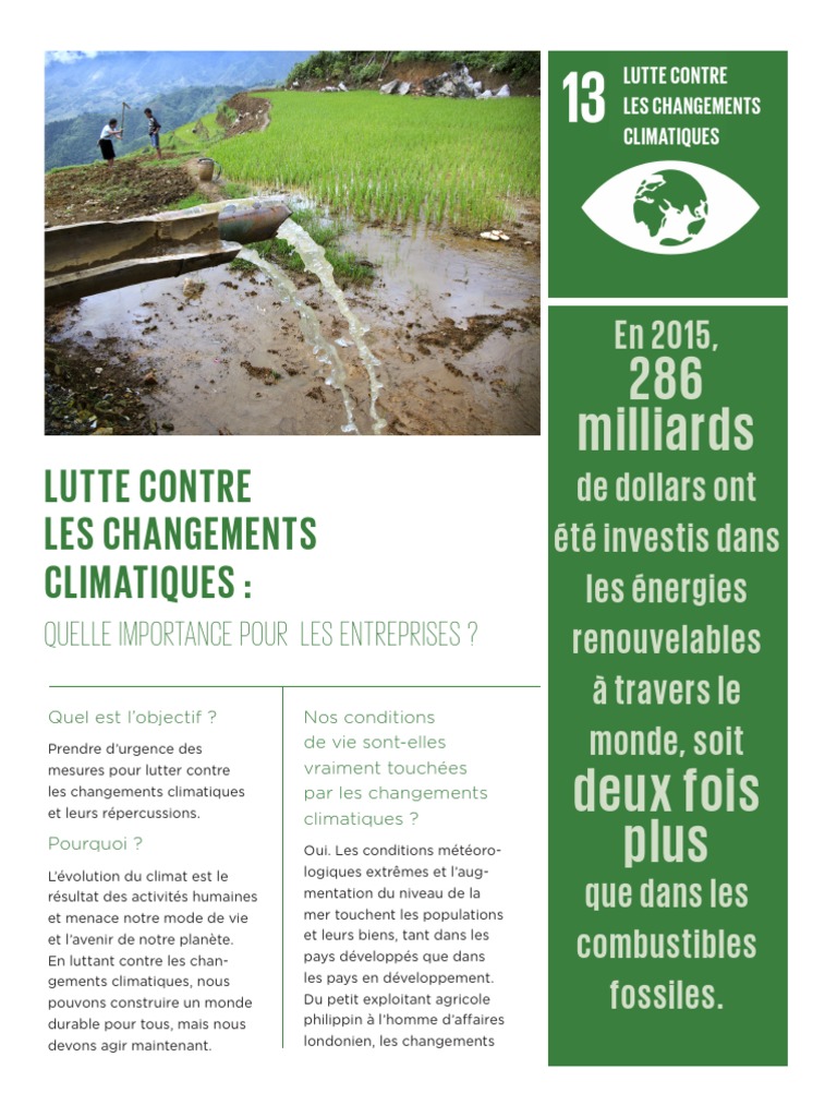 Lutte Contre Le Rechauffement Climatique Quels Roles Pour Les ...