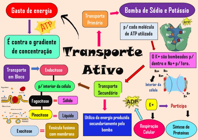 Transporte Ativo Mapa Mental | PDF
