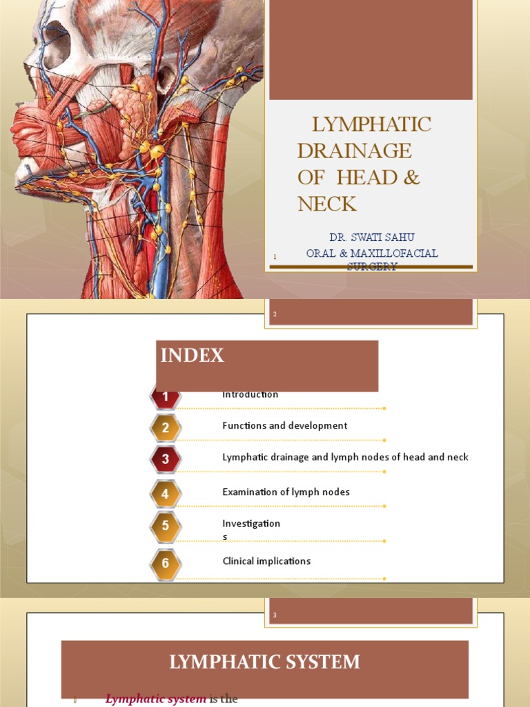 Lymphatic Drainage of Head & Neck: Dr. Swati Sahu Oral & Maxillofacial ...