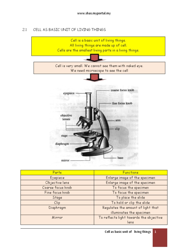 Microscope-Cell As Basic Unit of Living Things | PDF