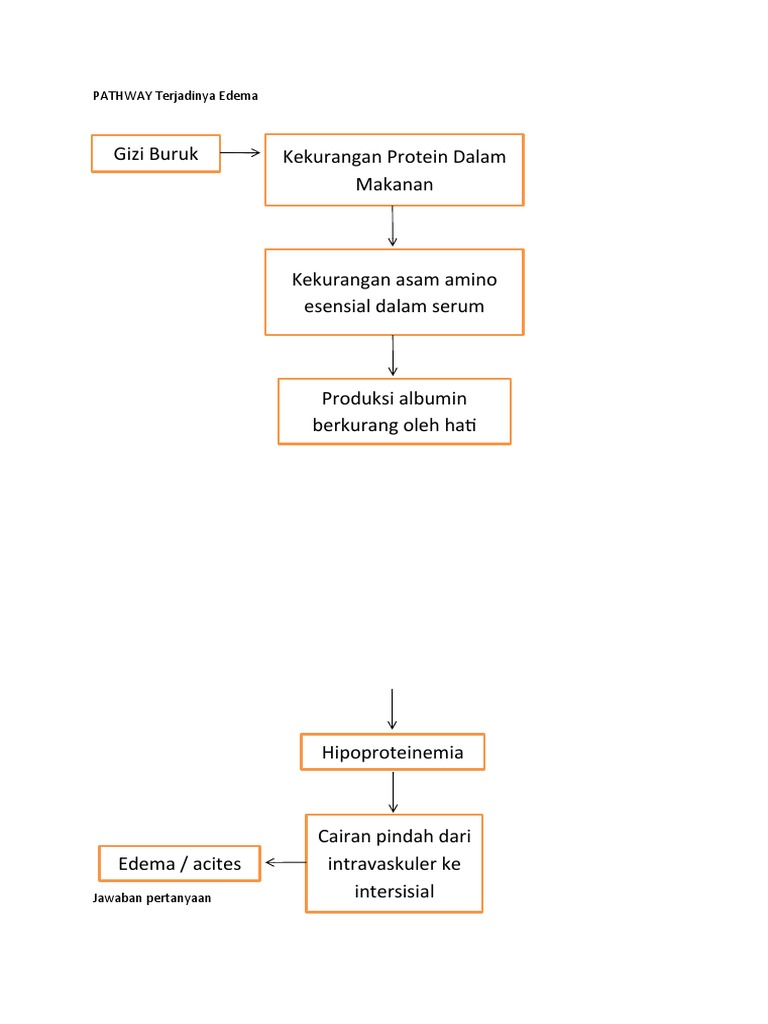PATHWAY Terjadinya Edema | PDF