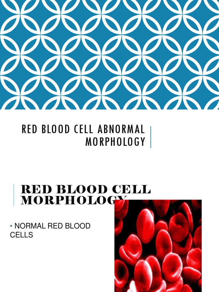 RBCs Abnormal Morphology Final | PDF | Anemia | Red Blood Cell