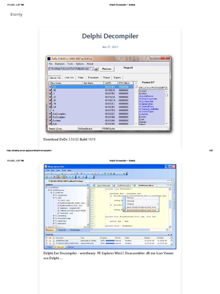 Delphi Decompiler - Brainly | PDF | Systems Engineering | Product Development