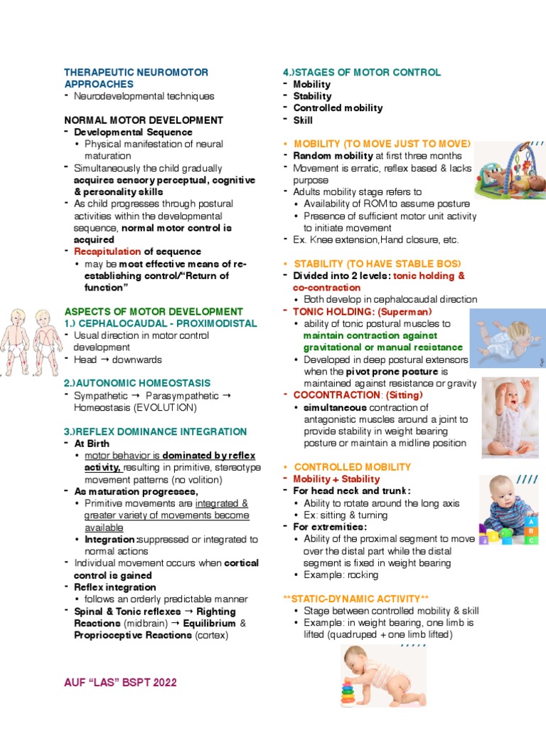 Thera Neuromotor Approaches Nir | PDF | Anatomical Terms Of Motion ...