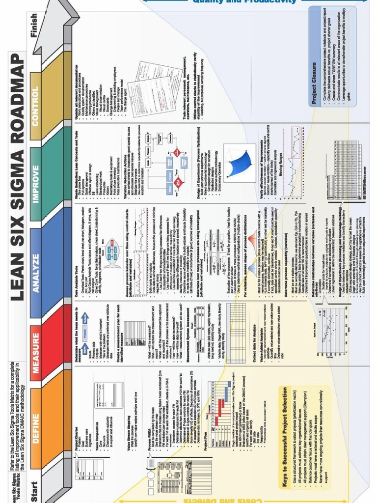 Lean Six Sigma Roadmap | PDF