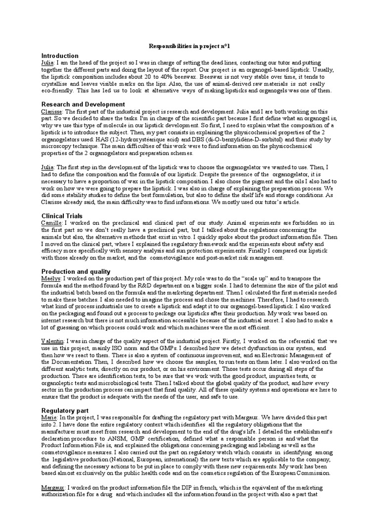 Industrial Project N°1 | PDF