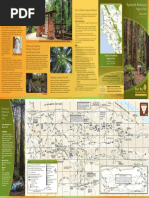 Activity Sheet Where Do Plants Live | PDF | Plants | Habitat