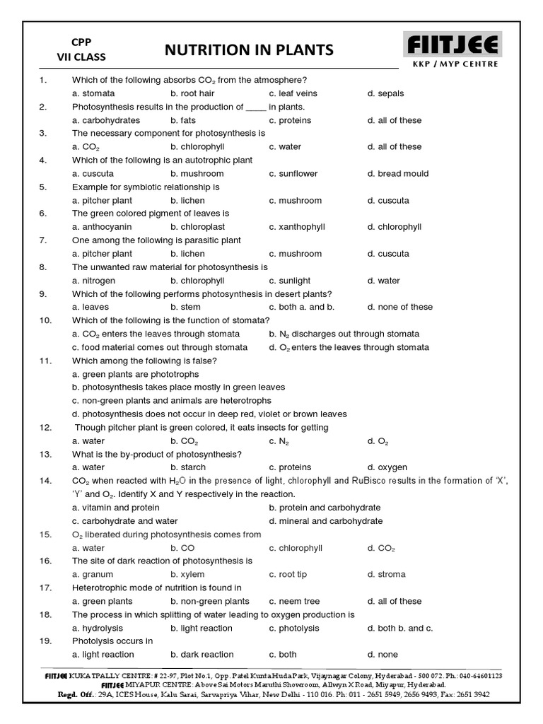 Nutrition in Plants: CPP Vii Class | PDF | Leaf | Photosynthesis