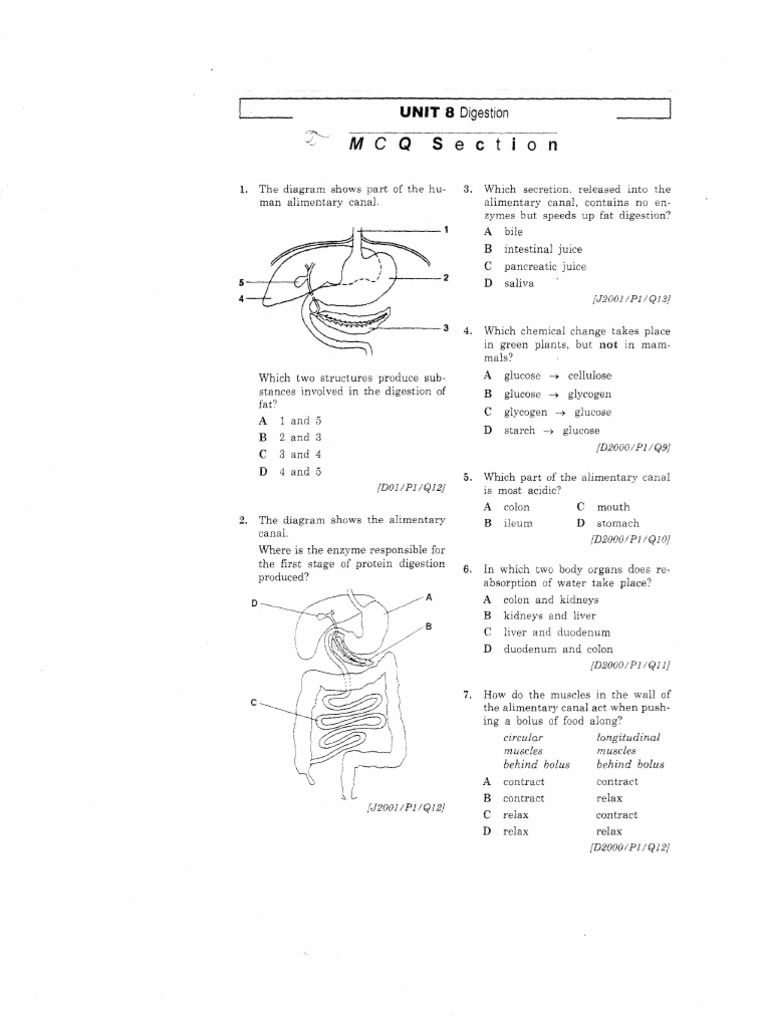 Human Digestion MCQ Practice Questions | PDF | Science & Mathematics
