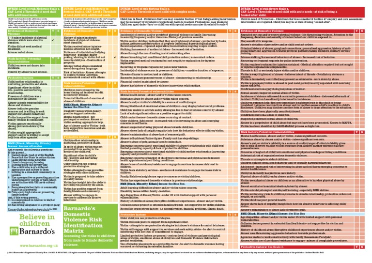 Barnardos Domestic Violence Risk Identification Matrix-2 | PDF ...