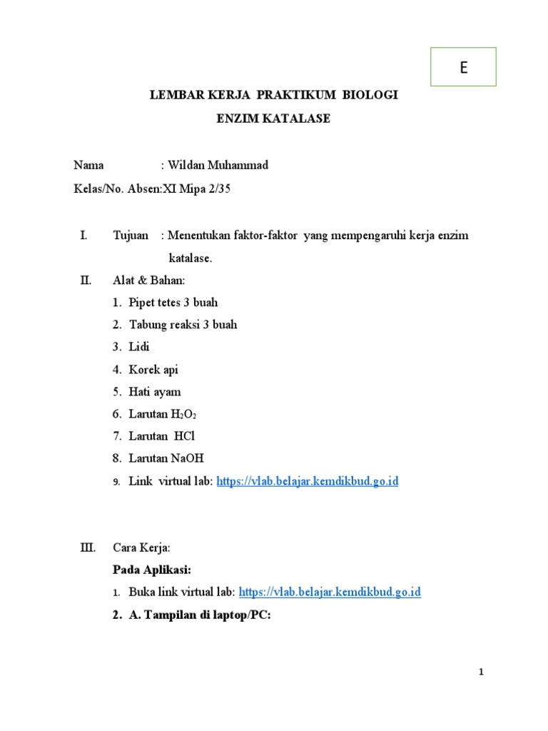 LKPD Enzim Katalase | PDF