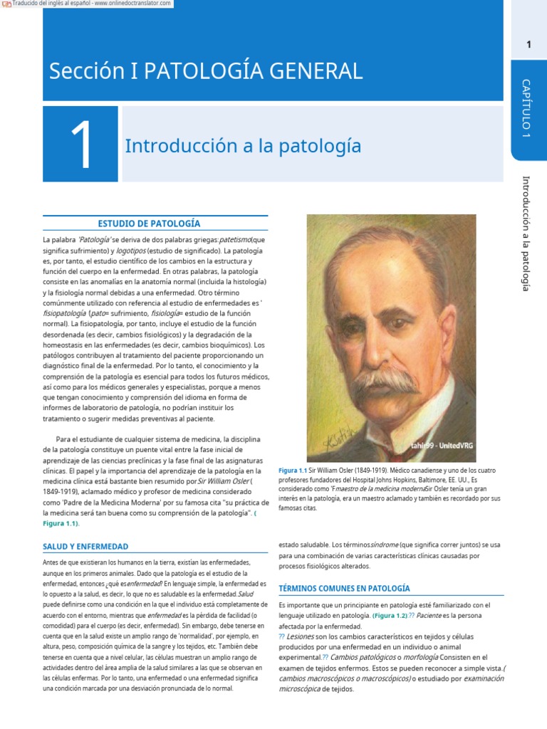 Harsh Mohan Textbook of Pathology, 7th Edition-17-22.en - Es | PDF ...