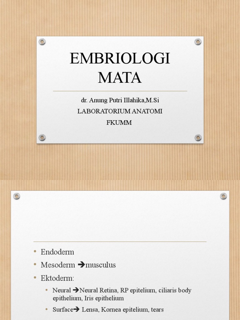 2020 Embriologi Dan Anatomi Mata | PDF | Kajian Bahasa Asing | Sains ...