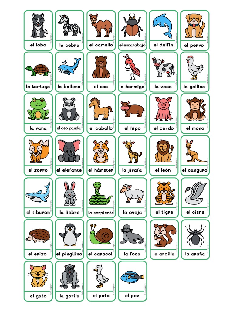 Animales: Nombres y Plurales | PDF | Zoología