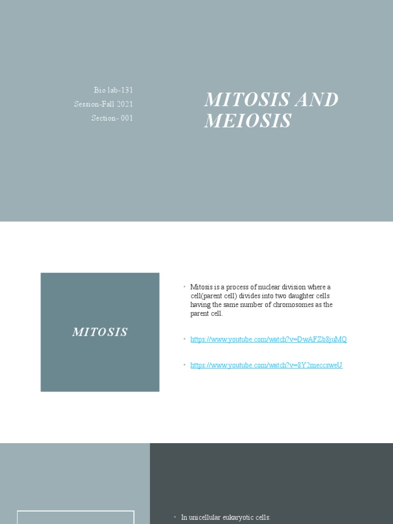Mitosis and Meiosis: Bio Lab-131 Session-Fall 2021 Section-001 | PDF ...